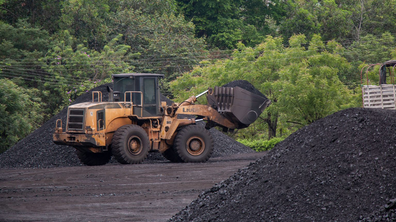 Los rostros del hambre tras la crisis de la coca en Colombia - Voragine